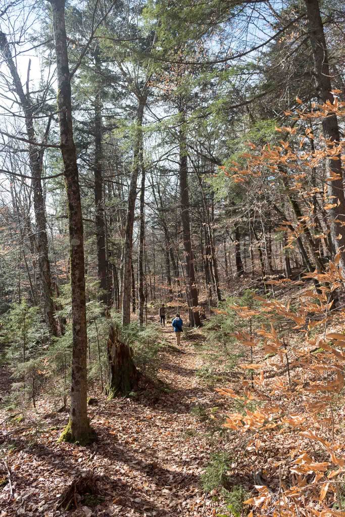 Hiking the Indian Head and Rainbow Falls trail in the Adirondacks