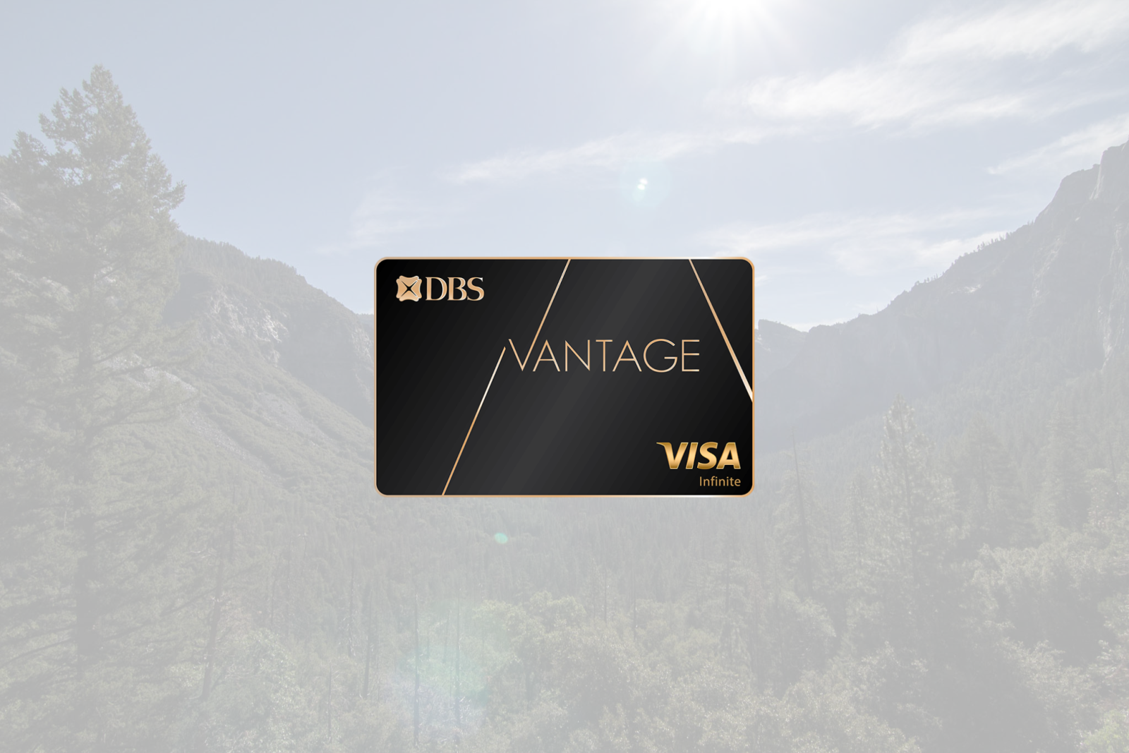 Credit Cards